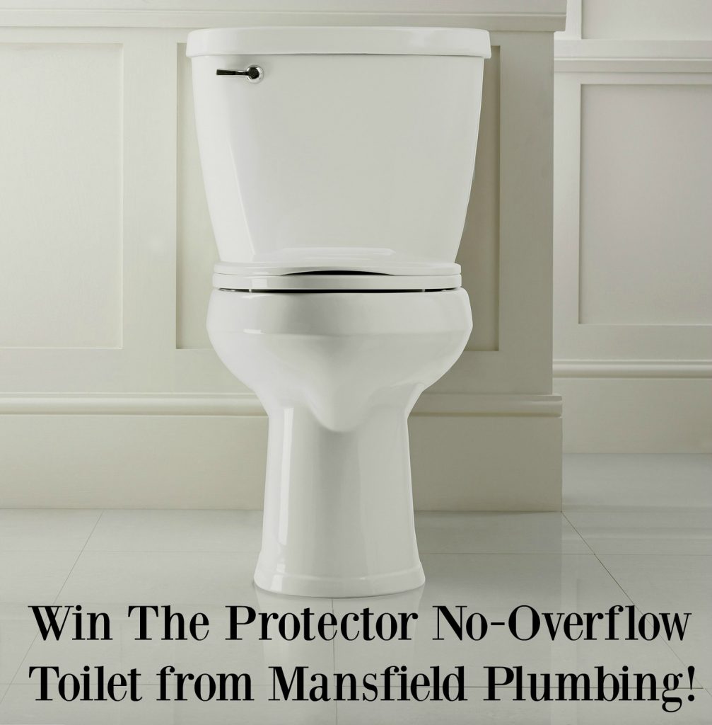 Check Out Our New Toilet From Mansfield Plumbing - Shop With Me Mama
