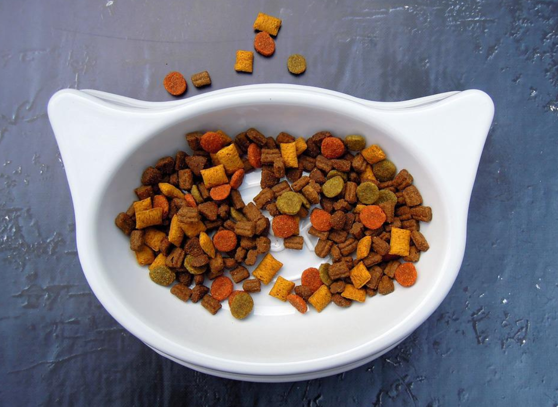 How To Introduce New Food To Your Pet - Shop With Me Mama