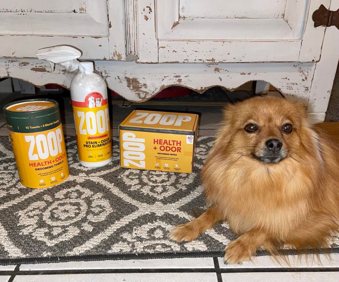 How To Spoil Your Dog - Shop With Me Mama