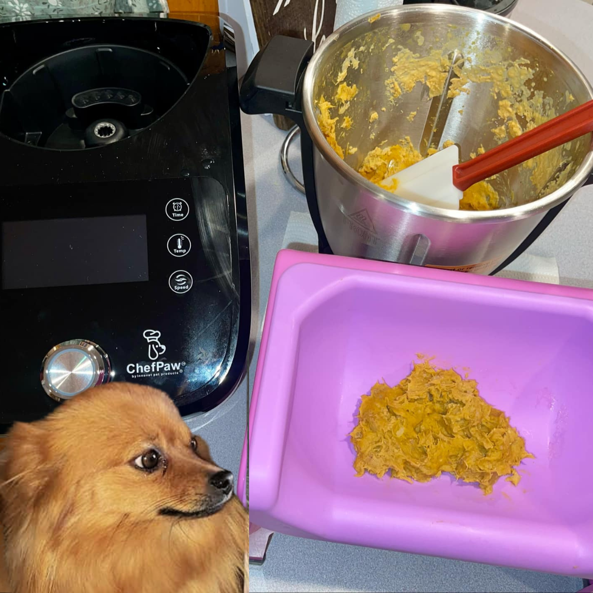 ChefPaw Dog Food Maker Review for Healthy Homemade Pet Food - Shop With ...